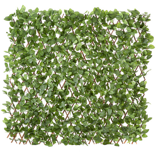 Leaf trellis store